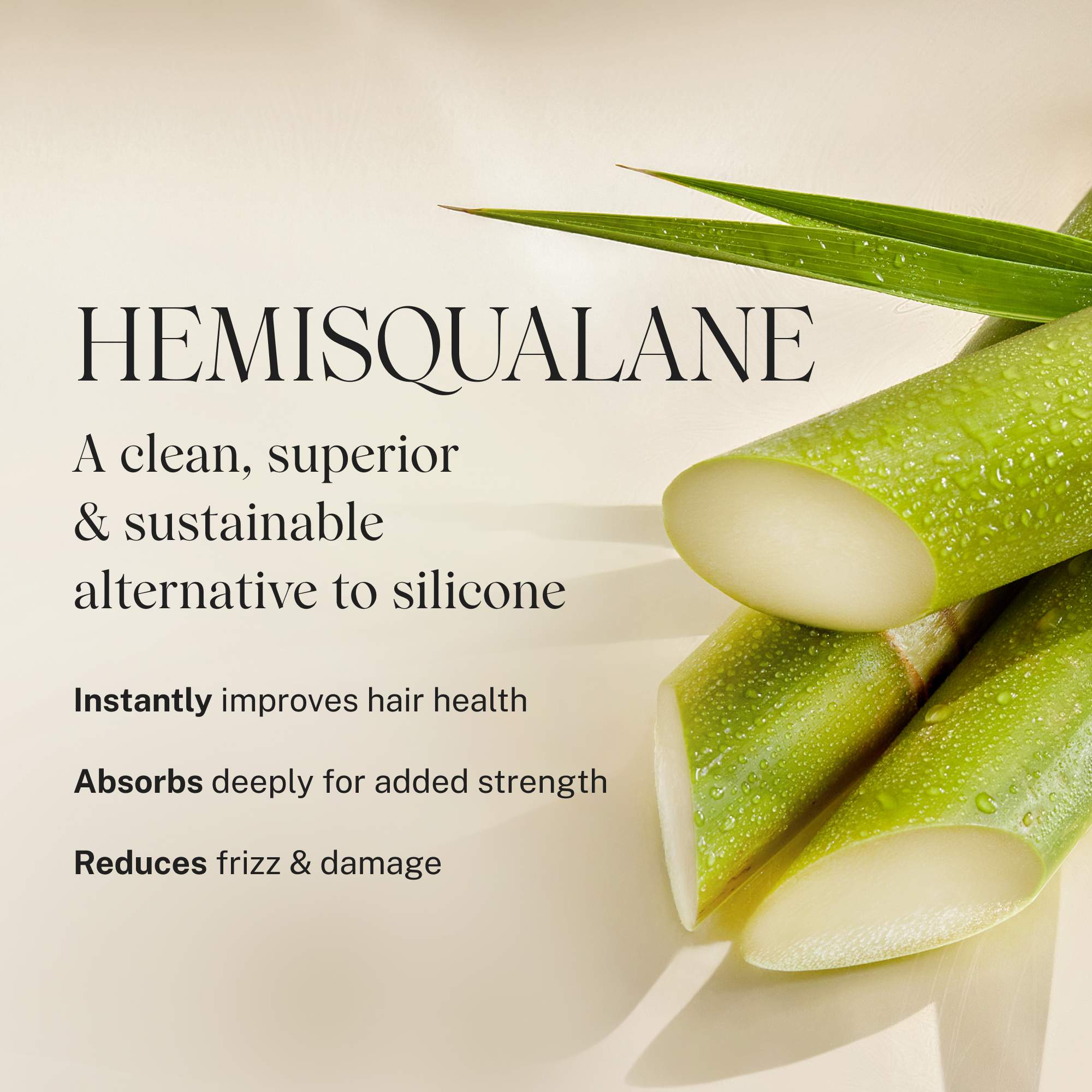 Shampoo & Conditioners | Silicone & Sulfate-Free & Color-Safe | JVN