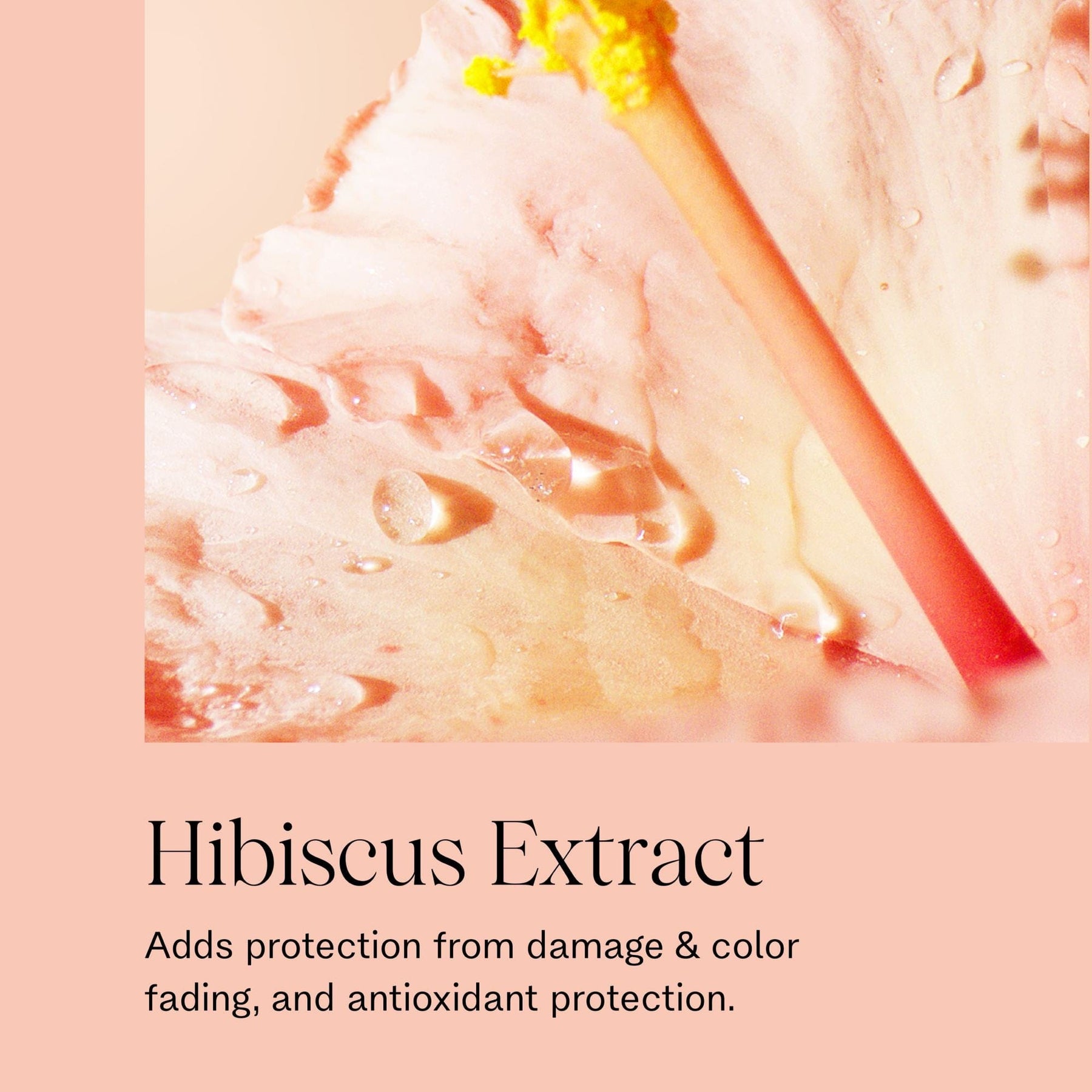 Nourishing Shine Drops | Smoothing Oil For Sleek & Shiny Hair | JVN